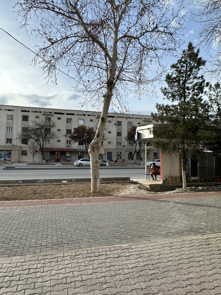 Продается коммерческое помещение на центральной улице Самарканда.