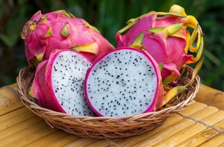 Дракон фрукт,  питахайя саженцы кучати