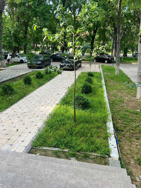 Сдается Нежилое помещение Ориентир: Ц4  115м2