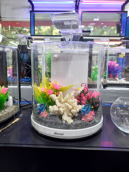 Akvarium dokoni xitoy akvariumlari bor