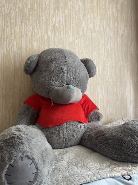 Мишка Teddy