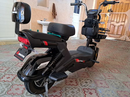 SKUTER QiuMotors