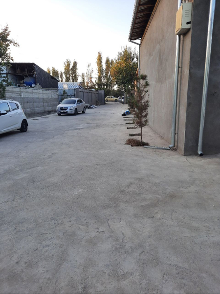 Сдается в аренду