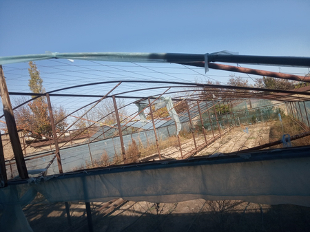 Tepilitsa sotiladi 3 sotix