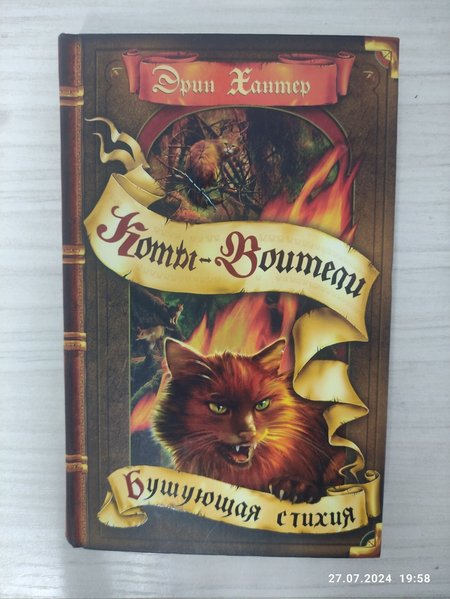 Книга Коты-Воители /Бушующая стихия/