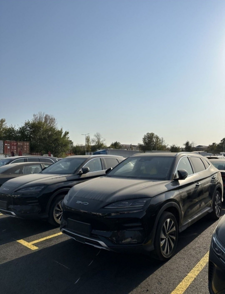 Byd chempion 2024 full 32100$