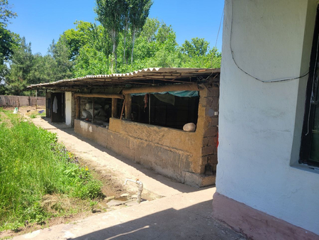 Hovli uy sotiladi 12 sotix kadastri bor