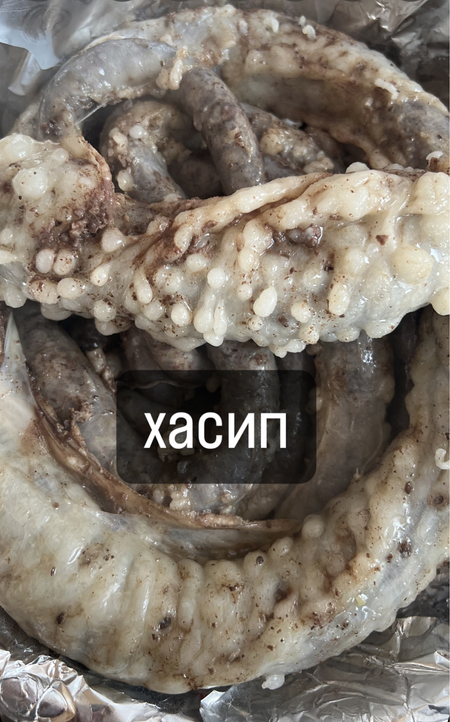 Хасип, hasip, xasip, kalla pocha, калла поча