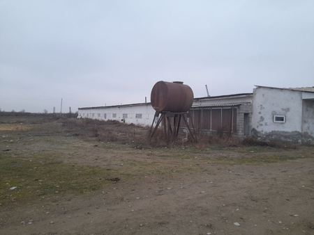 Продам ферму 9,3 га. Гулистан