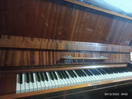 Fortepiano Va Sintezator Elenberg sotiladi