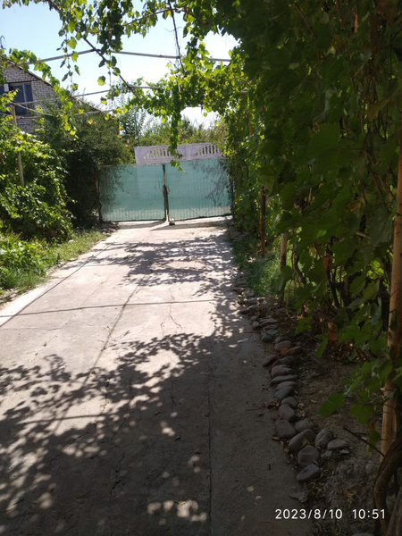 Dacha, Дача аренда