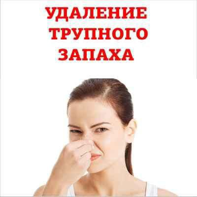 Дизинфекция дизинфекция