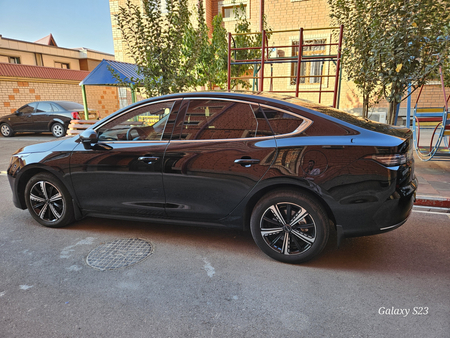 Byd chazor full 120