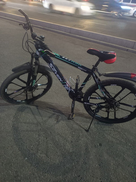Velosiped 850 ming