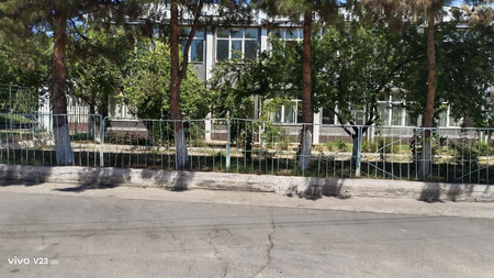 Temir darvoza va zabo‘r