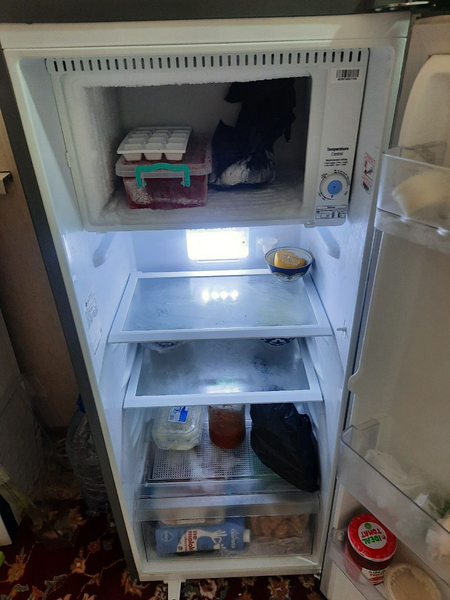 Lg haladilnik pashti yengi