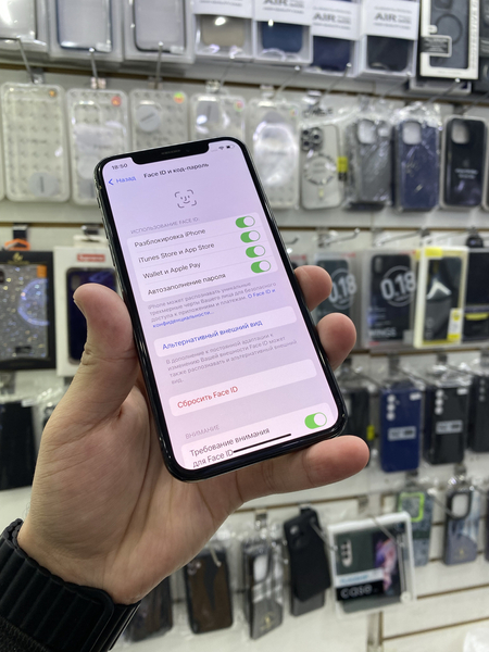 iphone X 256 gb radnoy