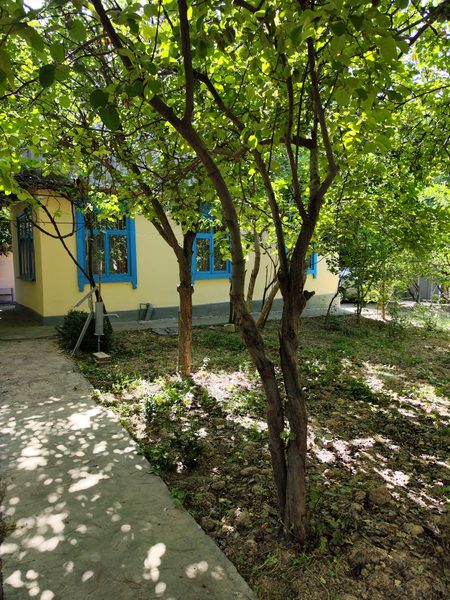 Продаётся Дача у реки в Кибрае