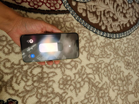 Iphone 12 pro max