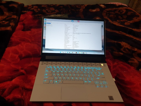Dell Alienware m15 R4
Core i9  10-avlod
Ram 32GB GTX 1080 
Hotira 1 te