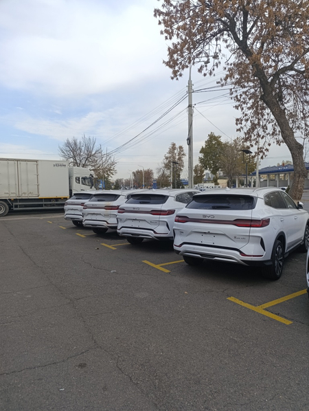 Byd chempion super narxda