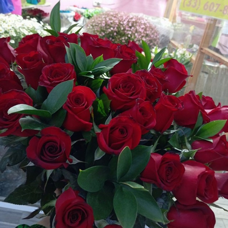 Цветы, Flowers Гуллар