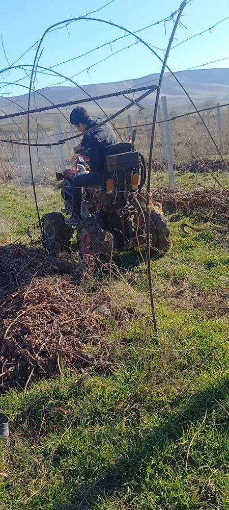 Mini traktor zubir