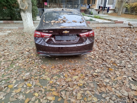 Malibu primier turbo 2022