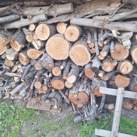 Продам дрова:ореховый