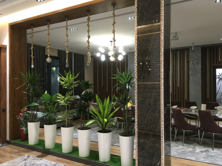 Roel House  новый дача