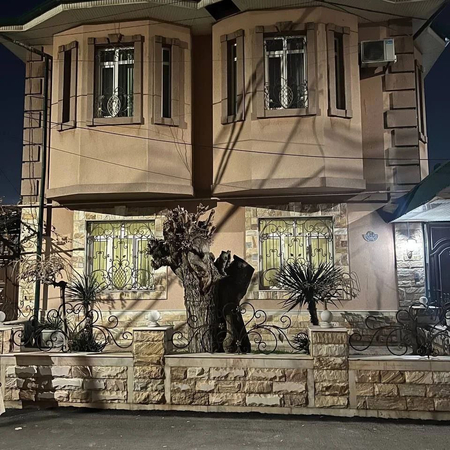Евро дом, Мирабад, Рисовый 4 сотки