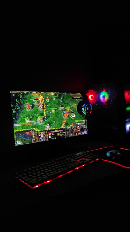 Ziffler Monitor 100 hz 24