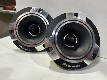 Pioneer Pisholka