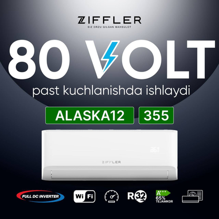 Ziffler Full DS Invertor Low Woltage 135W Доставка