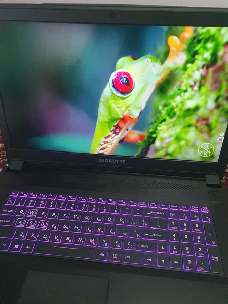 GIGABYTE SABRE 17.3 CORE i7-8750H 6/12