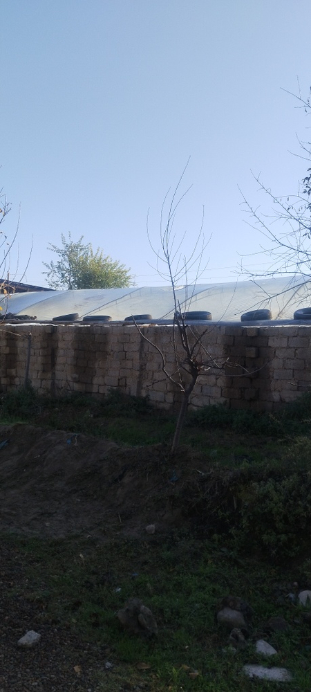 Nazarbeda quruq yer sotiladi 13 sotix