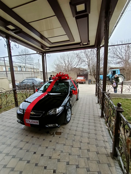 Лента Авто бантик Бант