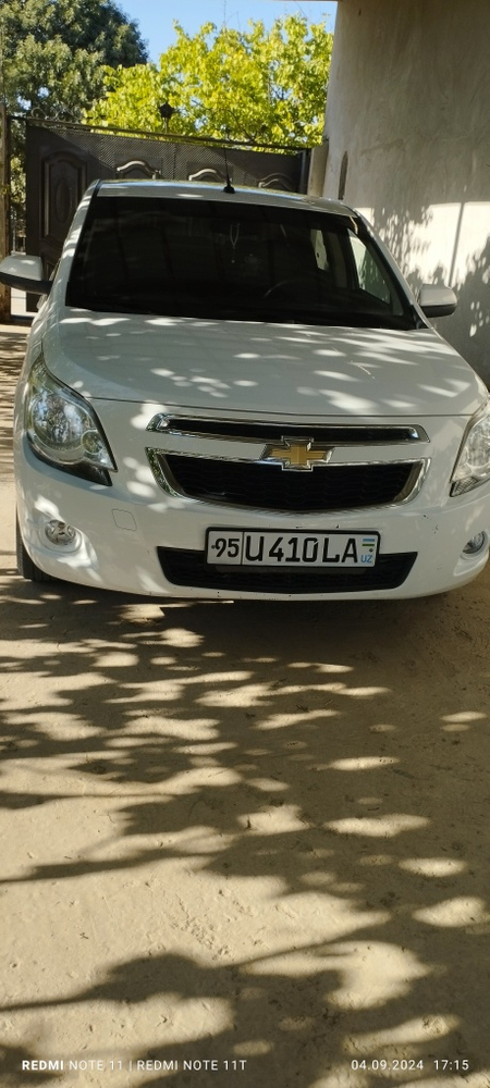 Cobalt 2019 mexanika elegant+