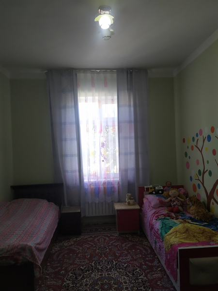 Kotej 6 sotiq gulobod narxini kelishamiz