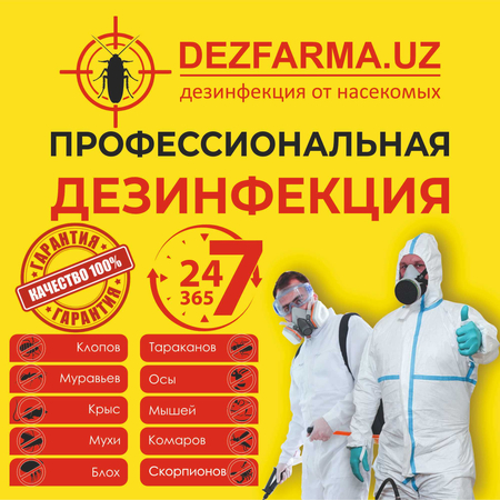 Уничтожение клопов / dezinfeksiya / дезинфекция / дизенфекция