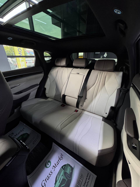 Byd song champion model 2025