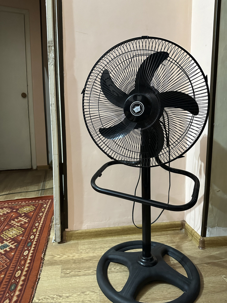 Vintelyator yengi