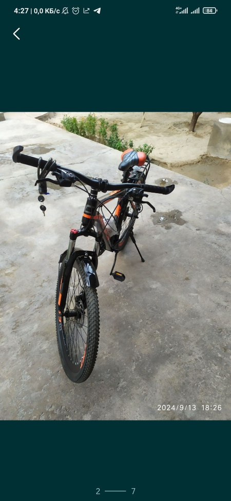 Velik yangi sportivni