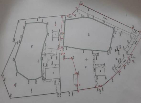 Продается загородный дом на берегу р. Сырдарьи