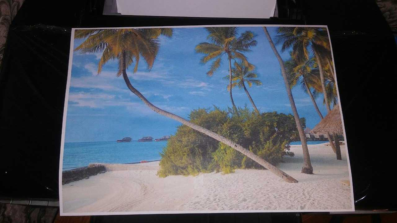 Epson P50 Ranglik printer 6ta rang