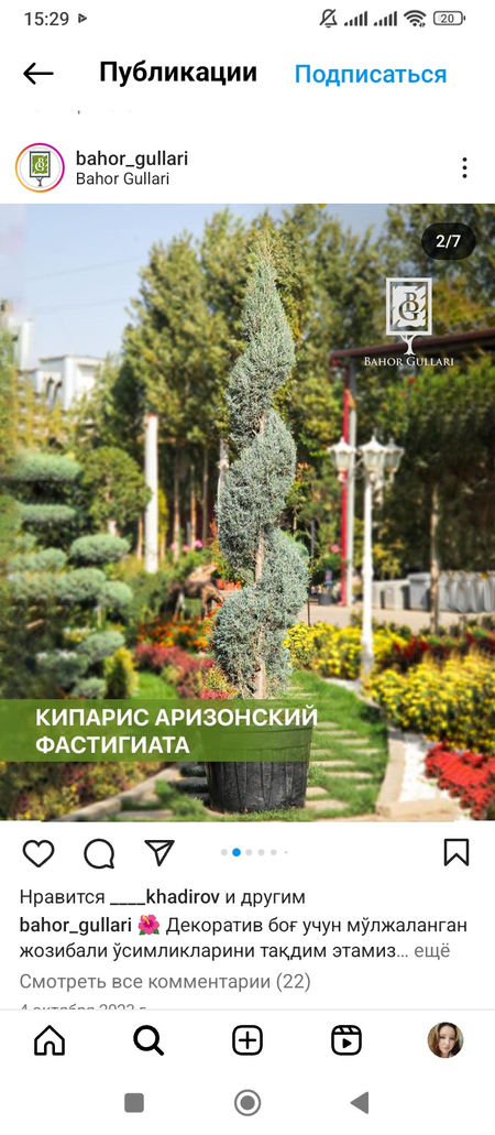 Оживите свой участок с итальянскими цветами и деревьями!