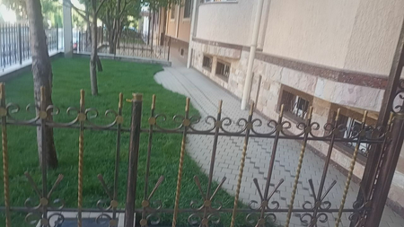 Yevro gazon ekamiz va urugidan sepamiz garantya beramiz
