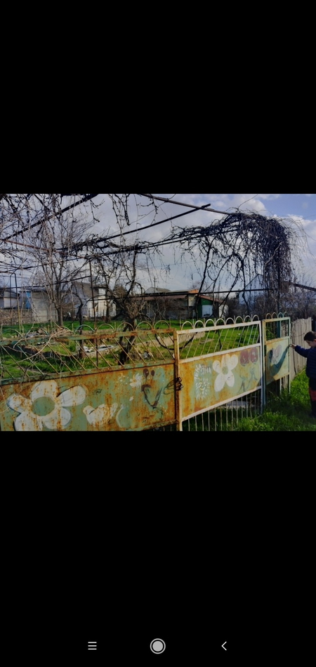 Дача узимнике сотилади.6,20 соток.