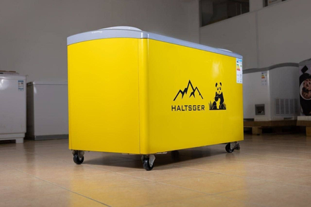 Морозильник HALSTGER 380