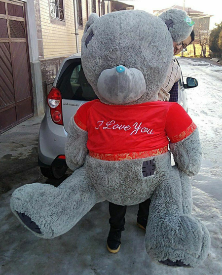 Teddi, Teddy, Teddiy yumshoq o'yinchoqlari sifatli va xamyonbop narxla